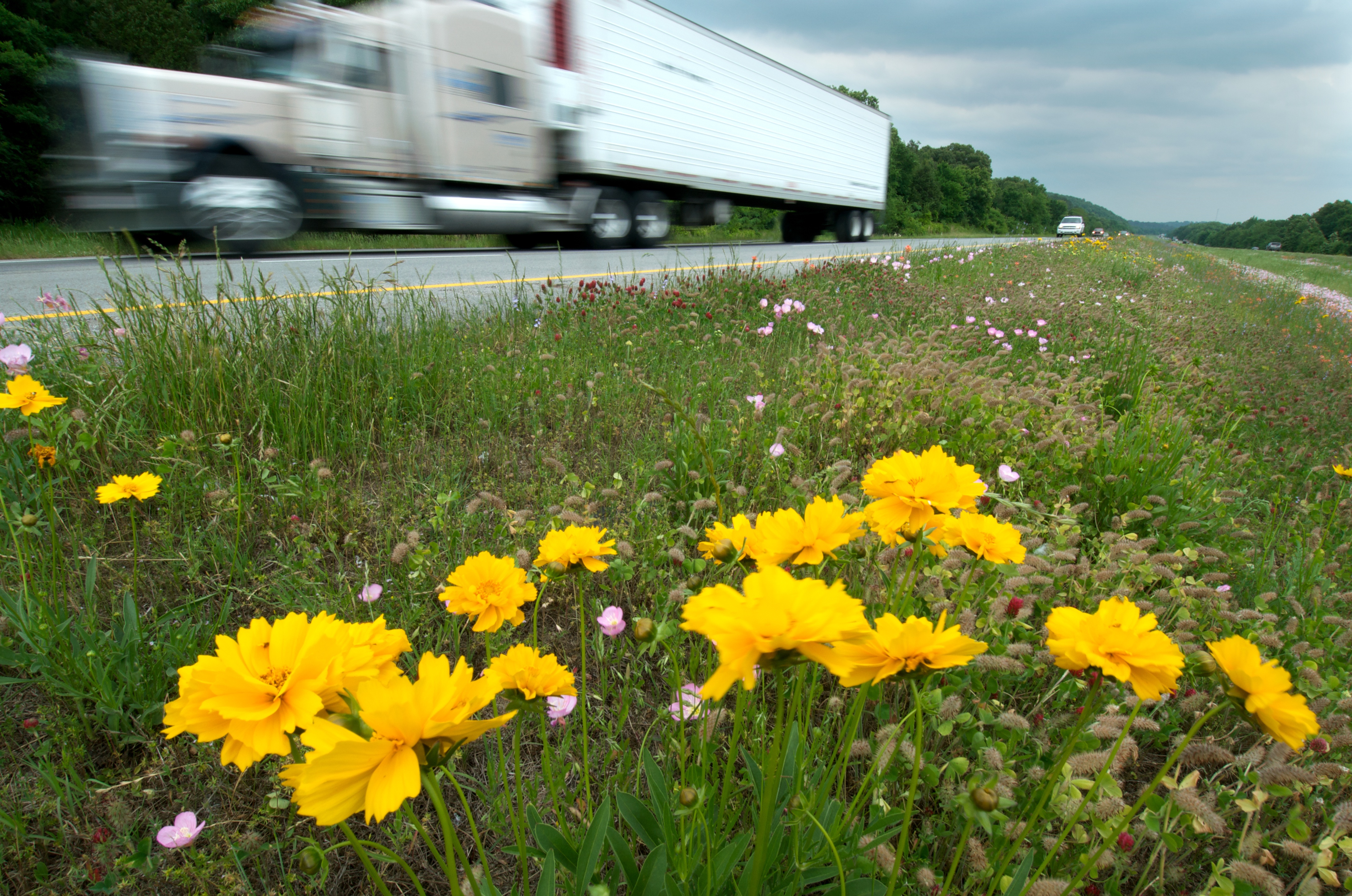 Time to Discuss Spring Driving Hazards